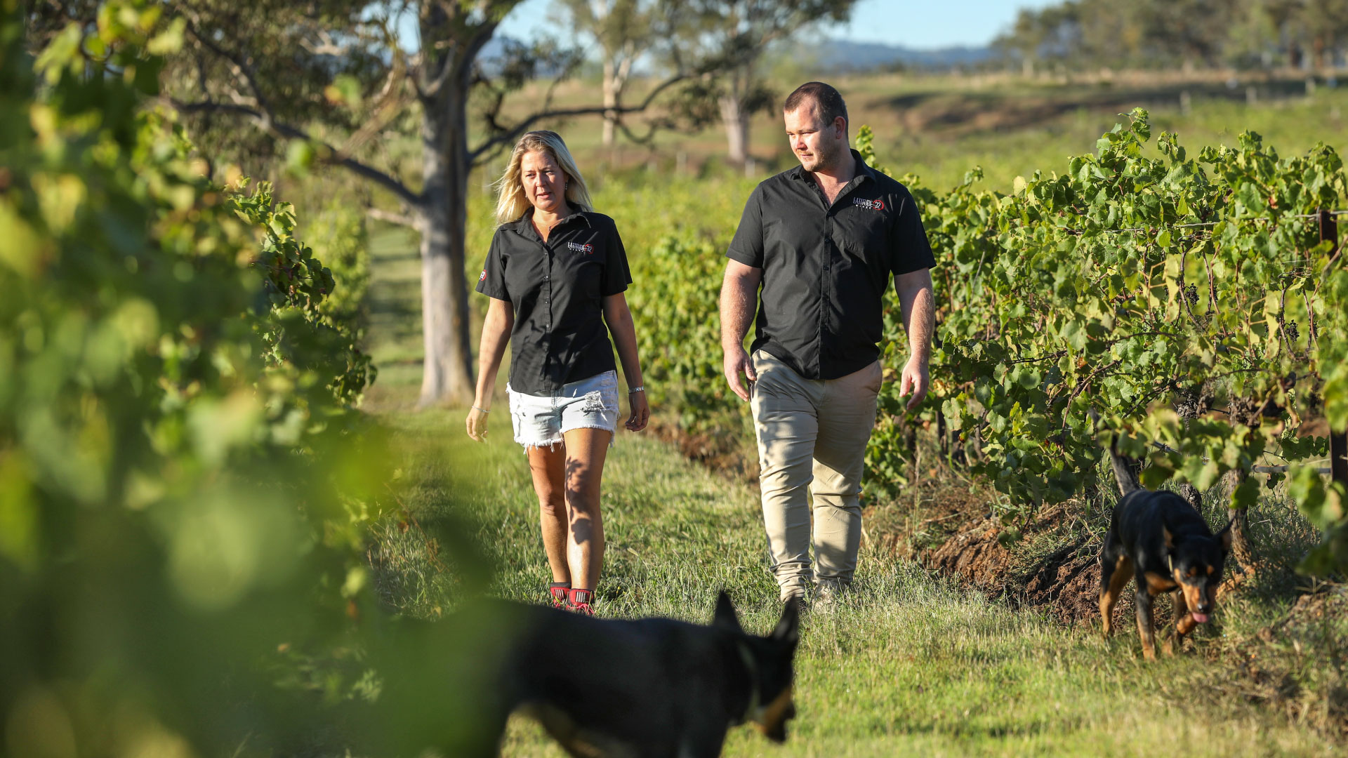 Latitude 32 Wines | The Vintage Holiday Houses